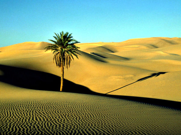 Sahara – najväčšia púšť sveta